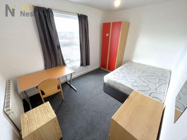 4 bedroom house share to rent