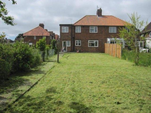 4 bedroom house share to rent