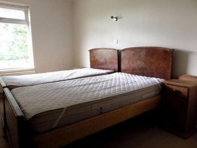 4 bedroom house share to rent