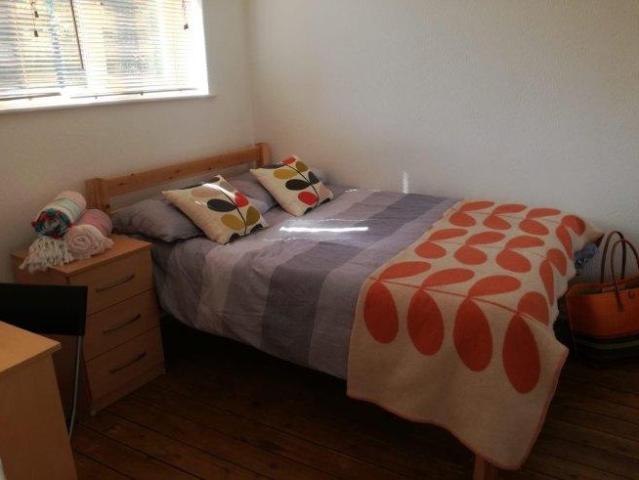 4 bedroom house share to rent