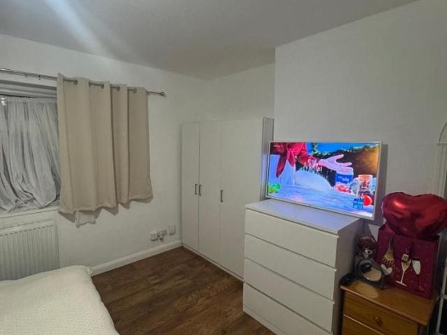 4 bedroom house share to rent