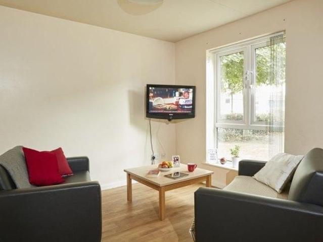 4 bedroom house share to rent