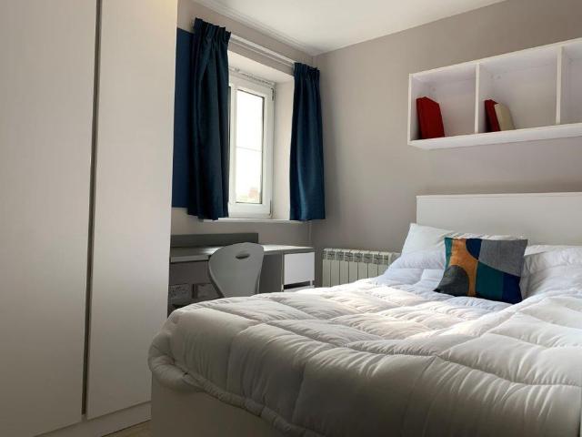 4 bedroom house share to rent