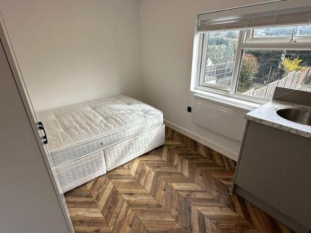 4 bedroom house share to rent