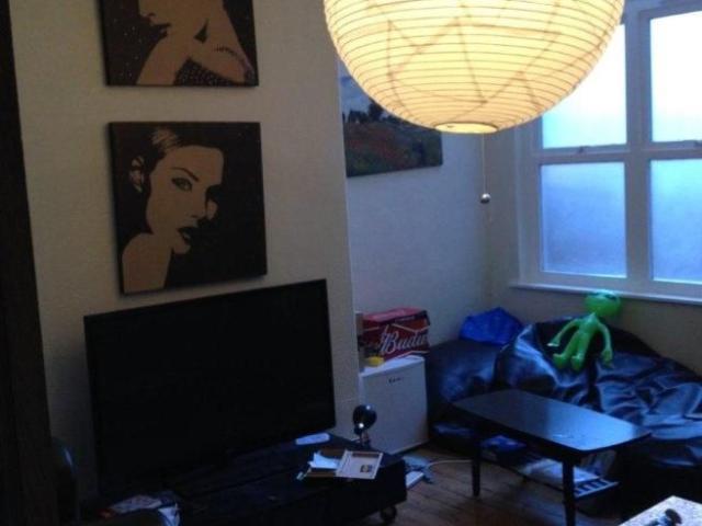 4 bedroom house share to rent