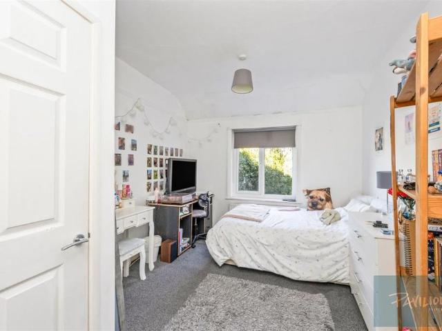 4 bedroom house share to rent