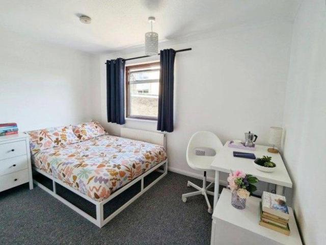 4 bedroom house share to rent