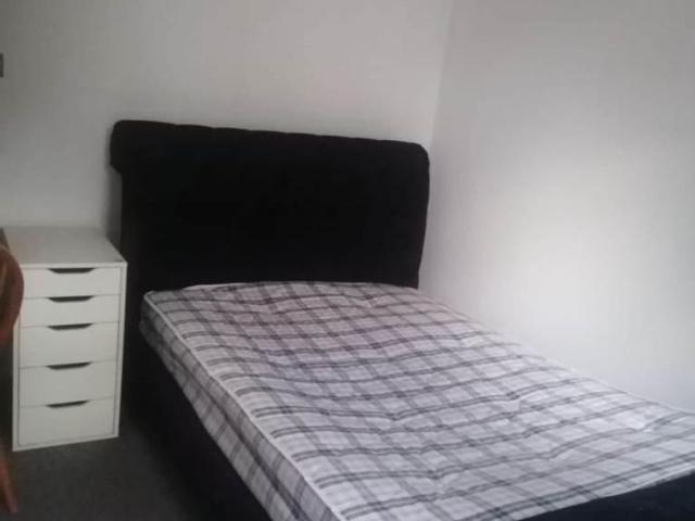 4 bedroom house share to rent
