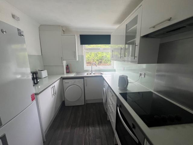 4 bedroom house share to rent