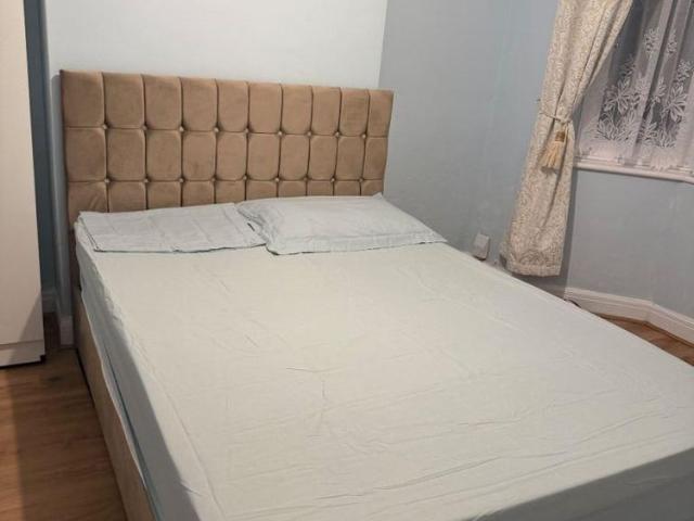 4 bedroom house share to rent