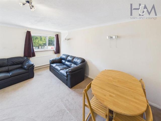 4 bedroom house share to rent