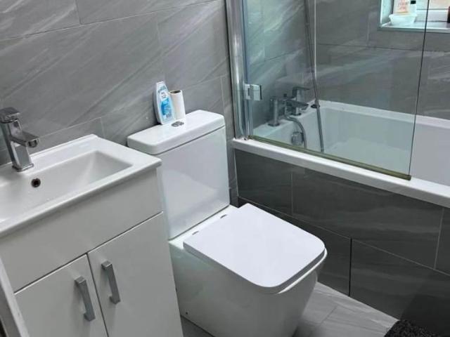 4 bedroom house share to rent