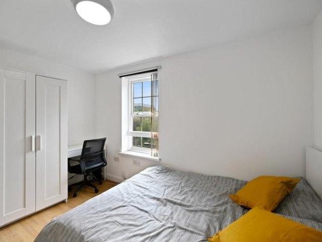 4 bedroom house share to rent