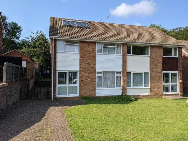 4 bedroom house share to rent