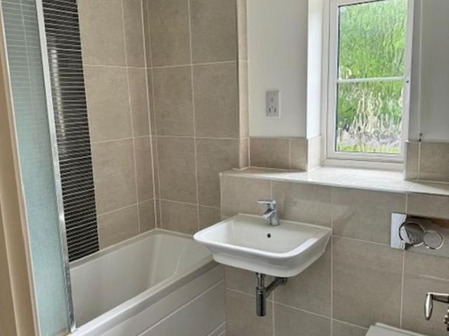 4 bedroom house share to rent