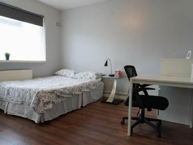 4 bedroom house share to rent