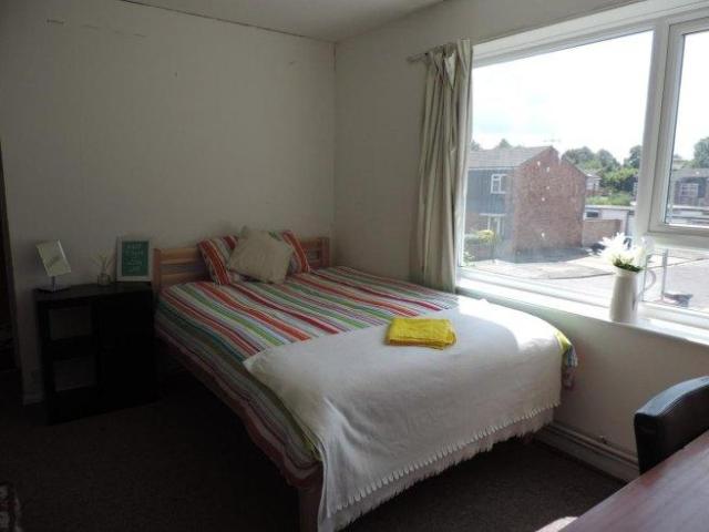 4 bedroom house share to rent