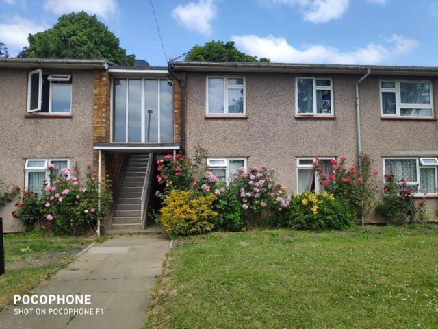 4 bedroom house share to rent