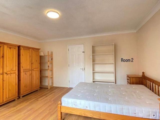 4 bedroom house share to rent