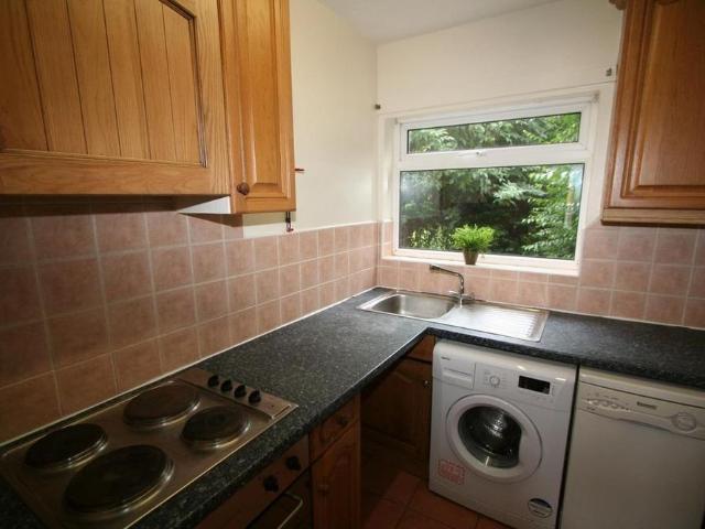 4 bedroom house to rent