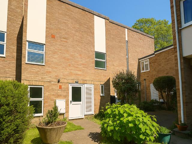 4 bedroom house to rent