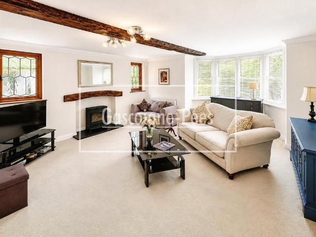 4 bedroom house to rent