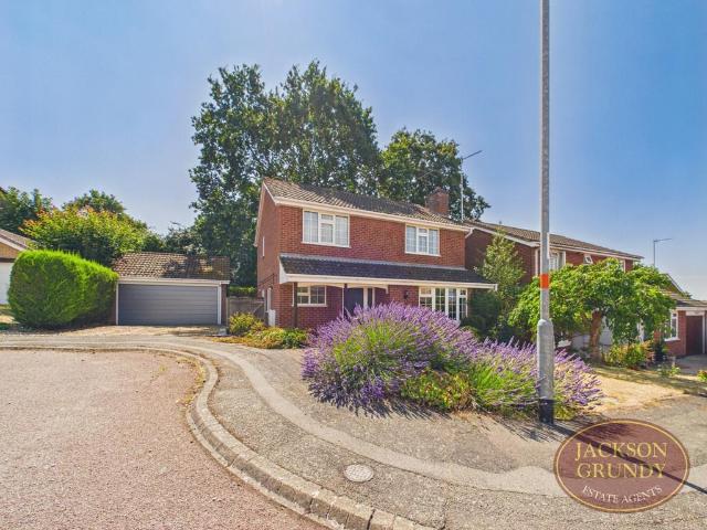 4 bedroom house to rent