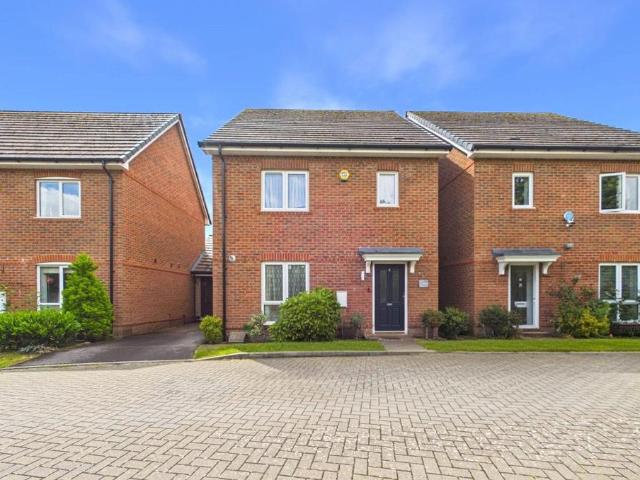 4 bedroom house to rent