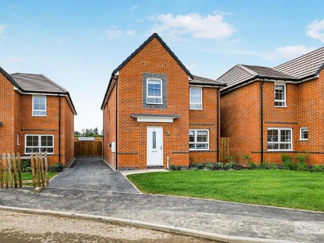 4 bedroom house to rent
