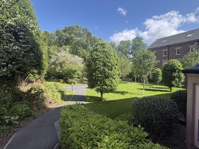 4 bedroom house to rent