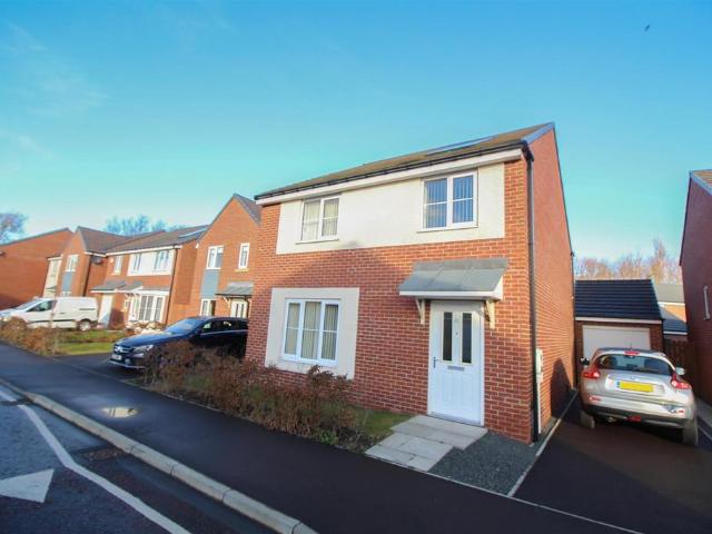 4 bedroom house to rent