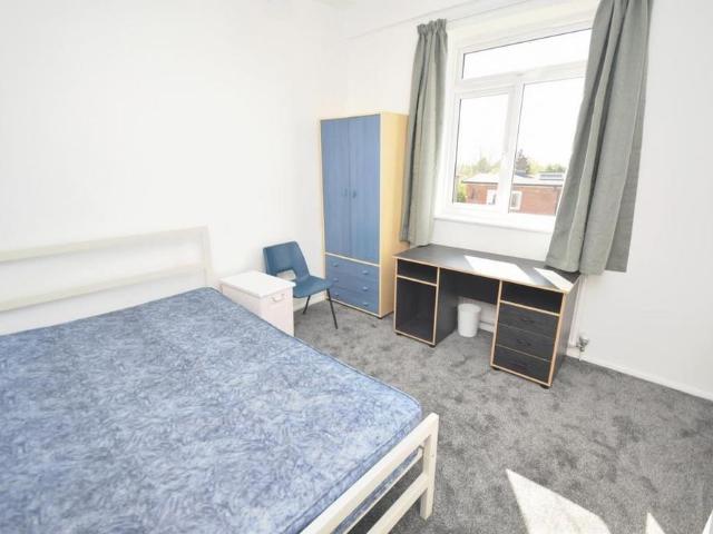 4 bedroom house share to rent