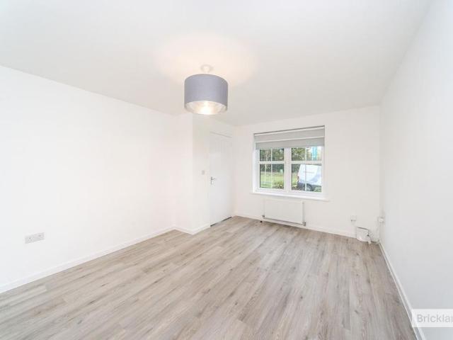 4 bedroom house to rent