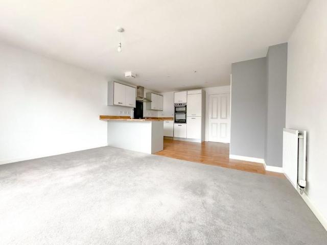 4 bedroom house to rent
