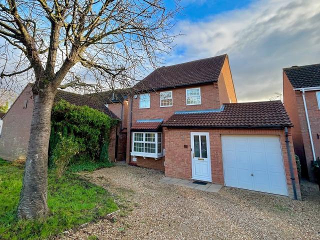 4 bedroom house to rent