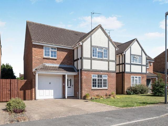 4 bedroom house to rent