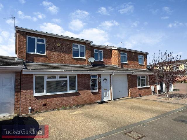 4 bedroom house to rent