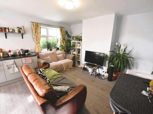 4 bedroom house to rent