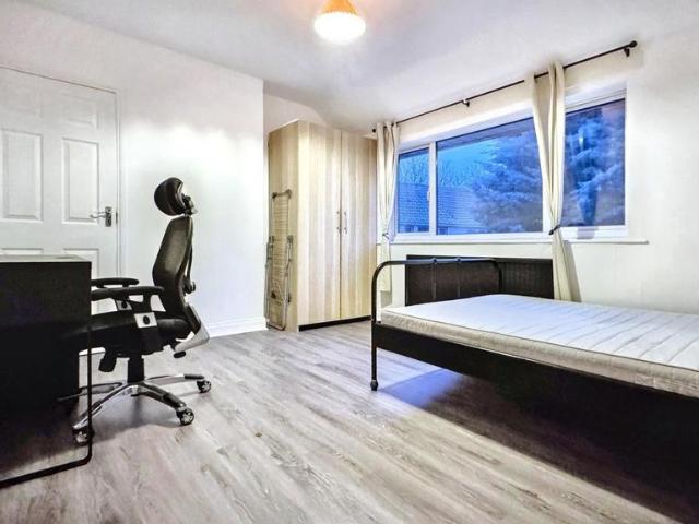 4 bedroom house to rent