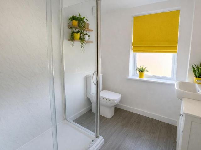 4 bedroom house to rent