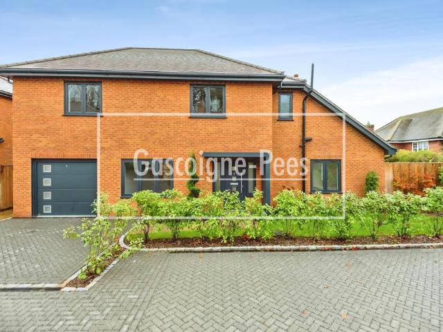 4 bedroom house to rent