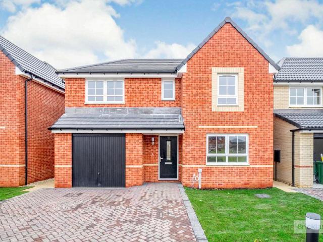 4 bedroom house to rent