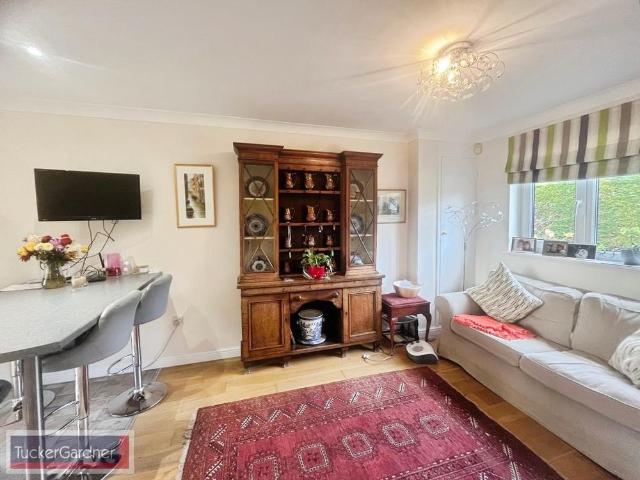 4 bedroom house to rent