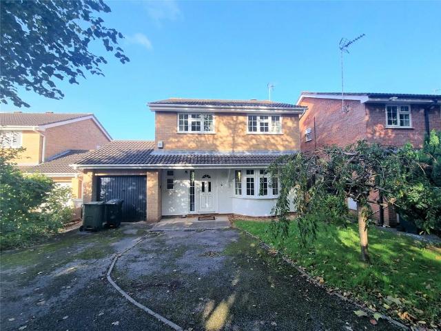 4 bedroom house to rent