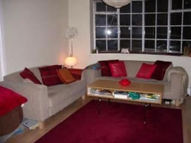 4 bedroom house to rent
