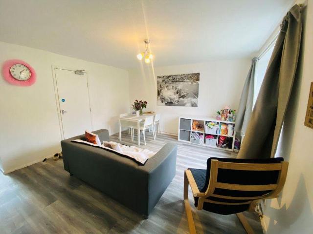 4 bedroom house to rent