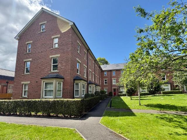 4 bedroom house to rent
