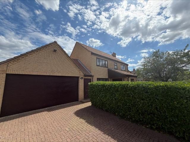 4 bedroom house to rent