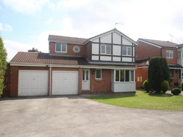 4 bedroom house to rent