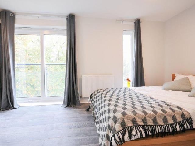 4 bedroom house to rent